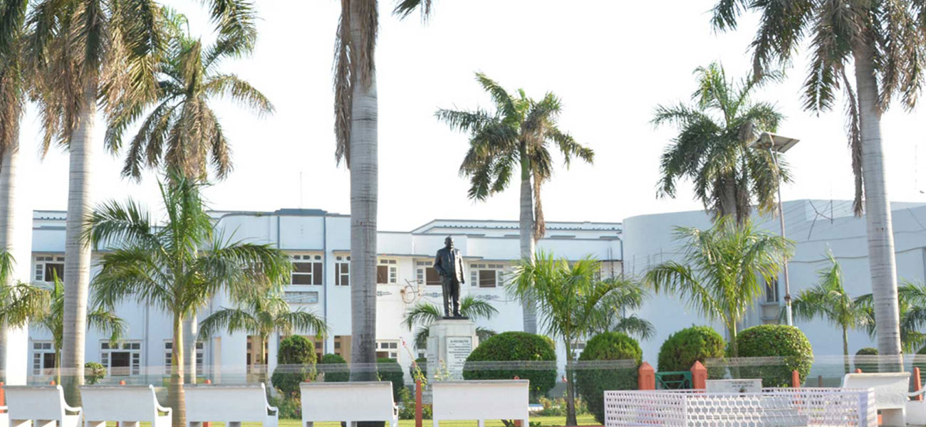 Projects - Capstone BSC